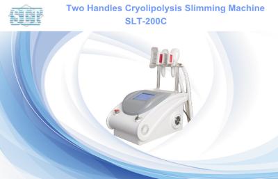 China De multifunctionele Vette Machine Cryotherapy, 8 Duim LCD van Verwijderingszeltiq Coolsculpting Te koop