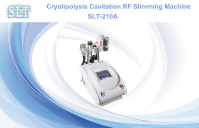 China 4 in 1 niet Chirurgische Cryolipolysis-Vermageringsdieetmachine met Cavitatie en rf Te koop