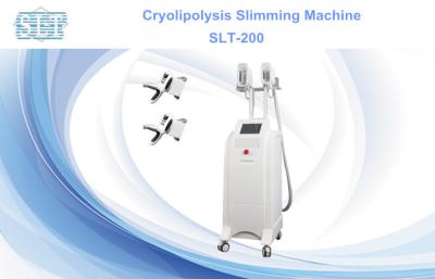 China Verticale Cellulite-het Vermageringsdieetmachine van Verwijderingscryolipolysis, het Verliesmateriaal van het Vrouwengewicht Te koop