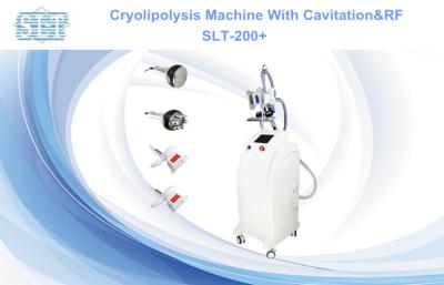 China Het Vermageringsdieetmateriaal van de Cryolipolysiscavitatie rf voor Lichaam het Vormen, Huid het Aanhalen Te koop