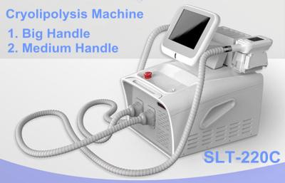 China Veilige Koele Beeldhouwende Liposuction-Machine, het Draagbare Apparaat van het de Vorstvermageringsdieet van Cryolipolysis Vette Te koop