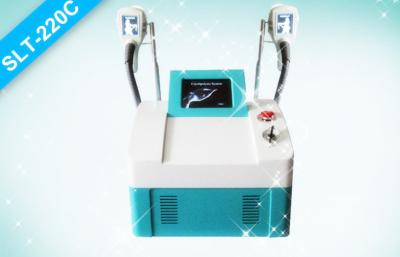 China Vacuümcryolipolysis-Vermageringsdieetmachine voor Buik Vette Verwijdering/het Vette Bevriezen van Cryotherapy Te koop
