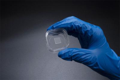 Cina Spessore 350 ±25 µm 10 X 10,5 mm2 Substrati GaN autoportanti in vendita