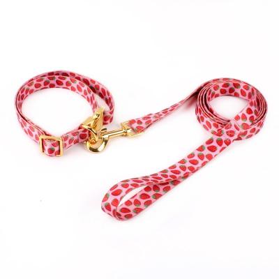 Cina La parte consumata della stampa dell'hardware rinforza il collare di cane/il guinzaglio/imbracatura per cani di nylon regolabili del cane in vendita