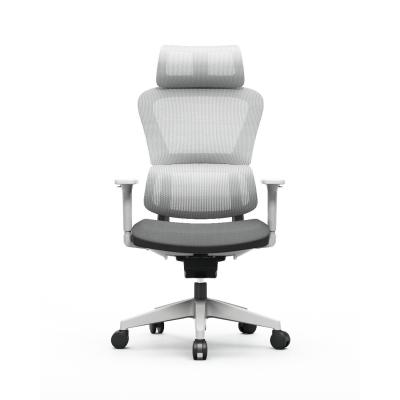 Découvrez un confort et un style inégalés avec le fauteuil de directeur de bureau réglable en treillis 105A