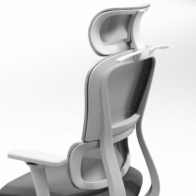Chine Découvrez un confort et un style inégalés avec le fauteuil de directeur de bureau réglable en treillis 105A à vendre