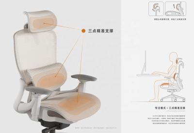 Chine Chaise de chef pleine maille avec mécanisme Donati Meubles de bureau modernes de luxe Pass BIFMA Test à vendre