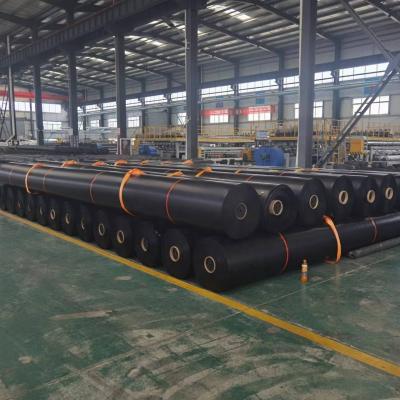 China Geomembrana de HDPE para piscicultura em aplicações ambientais à venda