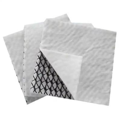 Китай 3D HDPE Composite Drainage Geonet с нетканым геотекстилем толщиной 0,8 мм - 2,0 мм продается