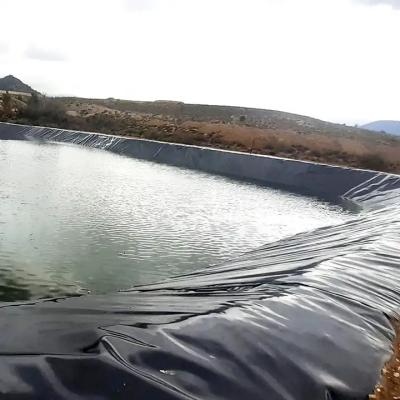 Cina Confezione di stagno per allevamenti di gamberetti Geomembrana HDPE 0,5 mm 0,75 mm 1 mm resistente all'acqua in vendita