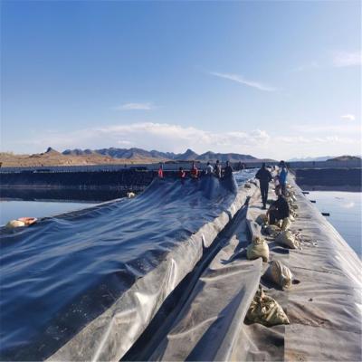 Cina Promozione delle vendite in negozio Involucro di geomembrana in HDPE per requisiti di protezione della plastica in vendita