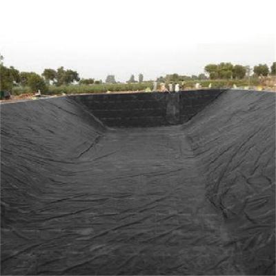 China 1.5mm 1mm 0.5mm Geomembrana de HDPE para Peixe Liner Liner Liner Padrão GB/ASTM GRI-GM13 à venda