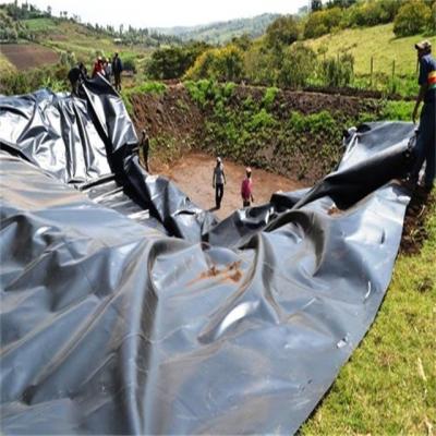 China Indonésia Kolam Ikan Design Style Geomembranas de 0,5 mm Revestimentos de lago para lagoas de peixes duráveis à venda