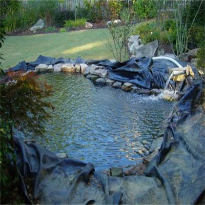 Cina Liner di stagno in plastica con geomembrana in HDPE per la protezione dagli UV e la resistenza alle forature in vendita