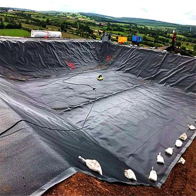 China Geomembrana de HDPE de longa duração 0,75 mm 1 mm 2 mm para revestimento de aterros sanitários e revestimento de piscinas à venda