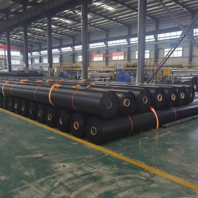 Cina 0Geomembrane in HDPE da 0,5 mm e 0,75 mm per la protezione dell'ambiente Lunghezza 50-100 m/rollo in vendita