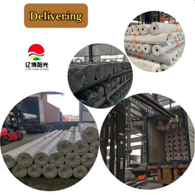 Cina 500 micron 750 micron Geomembrane HDPE Pond Liner per contenimento dell'acqua industriale in vendita