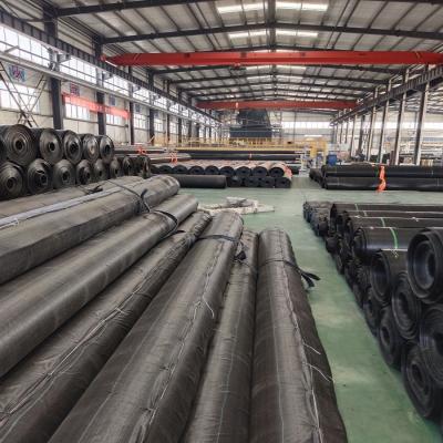 Cina Acquacoltura Pesce e gamberetti in vendita