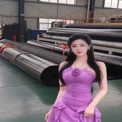 Cina 0.3-2.0 mm Spessore Geomembrana di HDPE per acquicoltura all'aperto in vendita