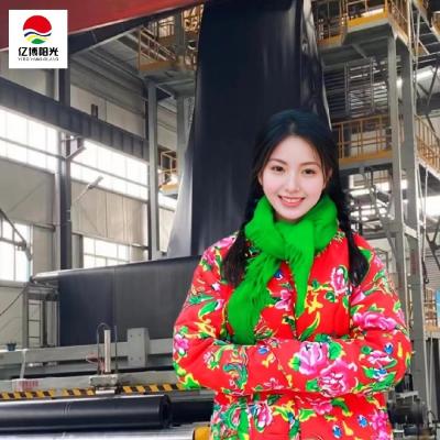 Cina Rivestimenti di geomembrana in HDPE Rivestimenti impermeabili Lunghezza 50m-200m/rollo Spessore 0,2 mm-3.00 mm in vendita