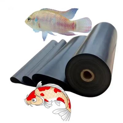 中国 水産物用HDPEジオメムラン 池の敷き布団と貯水池のダム敷き布団 試料無料 販売のため