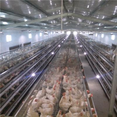 中国 Automatic Chicken Layer Cage 4 5 Tiers HDG H Frame Egg 販売のため