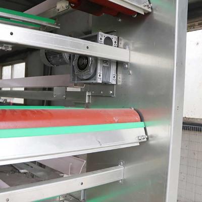 China U dá forma à gaiola automática de aço das aves domésticas, 3 fase 50HZ que uma camada do quadro prende à venda
