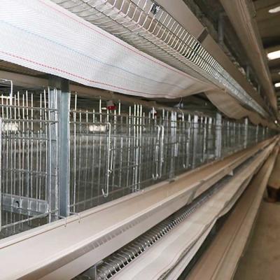 中国 自動供給の卵置く鶏のおり、Q235鋼線の層の鳥籠 販売のため