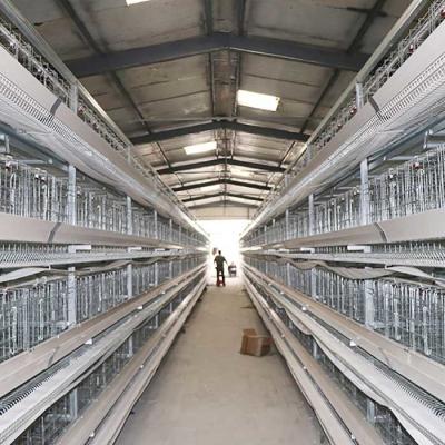 中国 3 / 4/5つの層の層の養鶏場のおり、注文力電池雌鶏のおり 販売のため