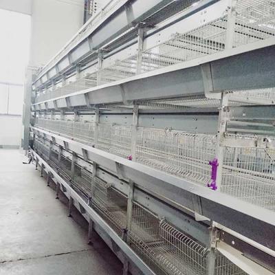 China H Frame 8 Doors Broiler Chicken Cage Automatic Hot Dip Galvanized Te koop