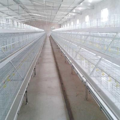 China 4 rijen 8 de Kooiq235 Koudgetrokken Draad die van de DeurenBraadkip Grote Elasticiteit lassen Te koop
