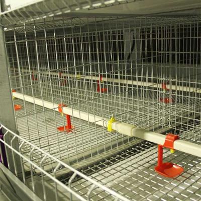 Cina Colore caldo di bianco dell'argento di capacità degli uccelli della gabbia 264 del pulcino del bambino del filo zincato in vendita