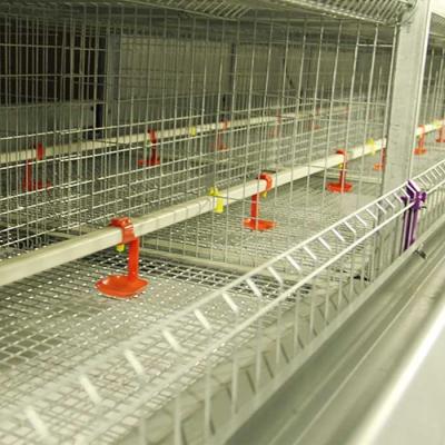 Cina Rendimento elevato del bambino Q235 del pulcino porte d'acciaio rigide della gabbia delle multi per l'azienda agricola in vendita