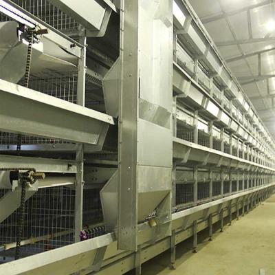 Cina gabbia per i pulcini, 24 gabbie dell'incubatrice di 195 * di 50 * 35cm di isolamento del pollo delle porte in vendita