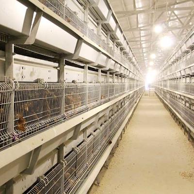 Cina Tipo 4 gabbie per polli moderne della fila, 120CM di H facile installare le gabbie del pollo della costruzione in vendita