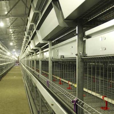 Cina Cavo della gabbia del pollo di avicoltura, gabbia alta tecnologia resistente ad alta temperatura del pollo in vendita