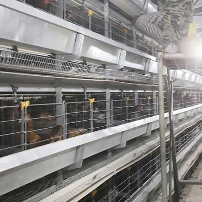 中国 高性能のピラミッドの鶏のおり、自動家禽供給装置 販売のため