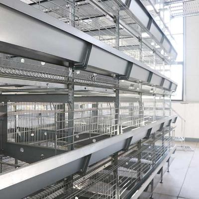 中国 90 - 256羽の鳥電池おりシステム、置く雌鶏のための耐久の富ませたおり 販売のため