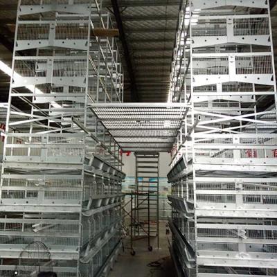 中国 0 - 温度調整システムとの20kw層の鶏のおり380Vの電圧 販売のため