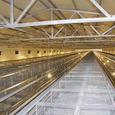 中国 強力な自動Hのタイプ層の鶏のおりシステム安定した性能 販売のため