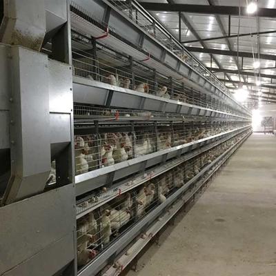China Tipo galvanizado mergulhado quente gaiola de H das aves domésticas, gaiola running do fio de galinha do alimentador à venda