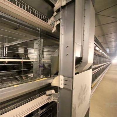 Cina Gabbia per uccelli dell'interno con la scatola di allevamento, gabbia del pollo del cavo con il sistema bevente in vendita