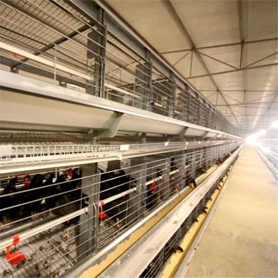 Cina trattamento di superficie di anti corrosione delle gabbie di allevamento del cavo del × 2810mm del × 1755mm di 1880mm in vendita