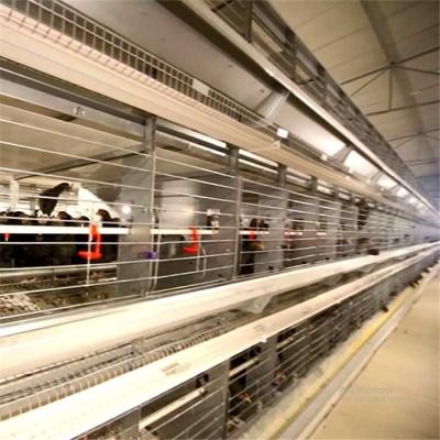 Cina 3 gabbie di allevamento del metallo dei pavimenti, economia di spazio comoda della gabbia del cavo della maglia in vendita