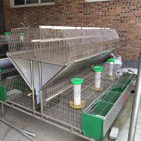 50~80 Babies Farm Rabbit Cage Commercial Rabbit Breeding Cages