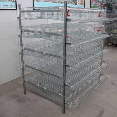 Cina L'alta quaglia della durevolezza ingabbia per produzione di uova meno torsione/lesione delle gambe in vendita