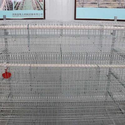 Cina Colore bianco di acciaio del filo dell'argento affidabile della gabbia, ampia gabbia per uccelli di grande capacità in vendita