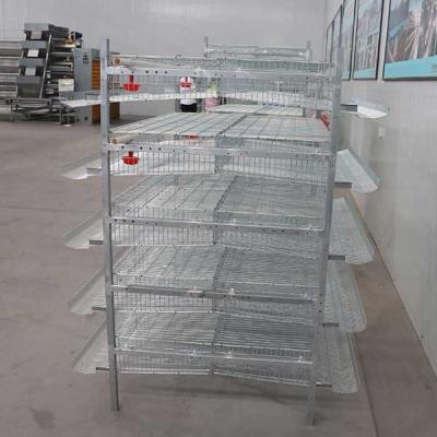 Cina Nessun angoli/durata della vita lunga di alta automazione delle porte della fila 2 della gabbia 6 della quaglia spigoli in vendita