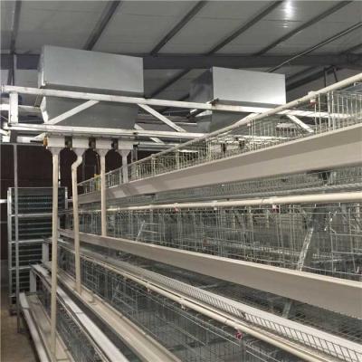 Cina Alta affidabilità del piccolo di orma del pollame sistema automatico dell'alimentatore di facile impiego in vendita