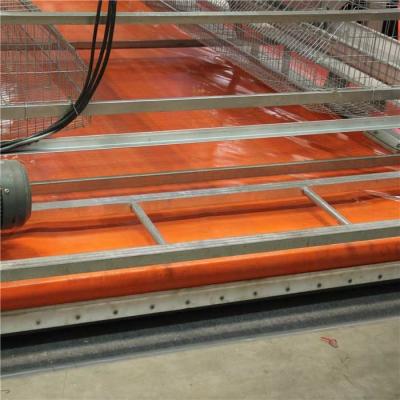 Cina Attrezzatura di Cleanout del pollaio di controllo automatico, gabbia potente dell'azienda avicola in vendita